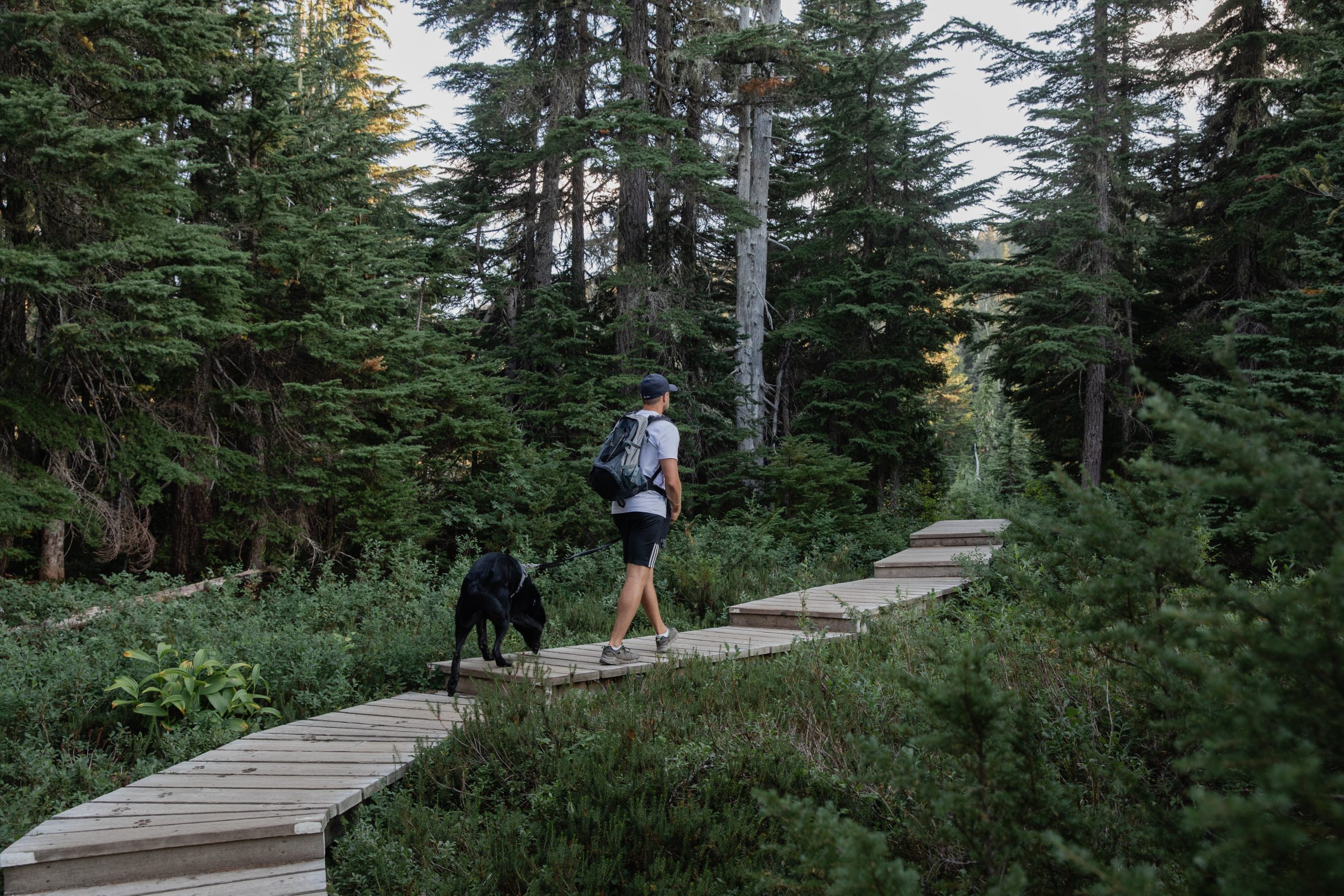 Experience Comox Valley Golf & Activities | Golf Vancouver Island